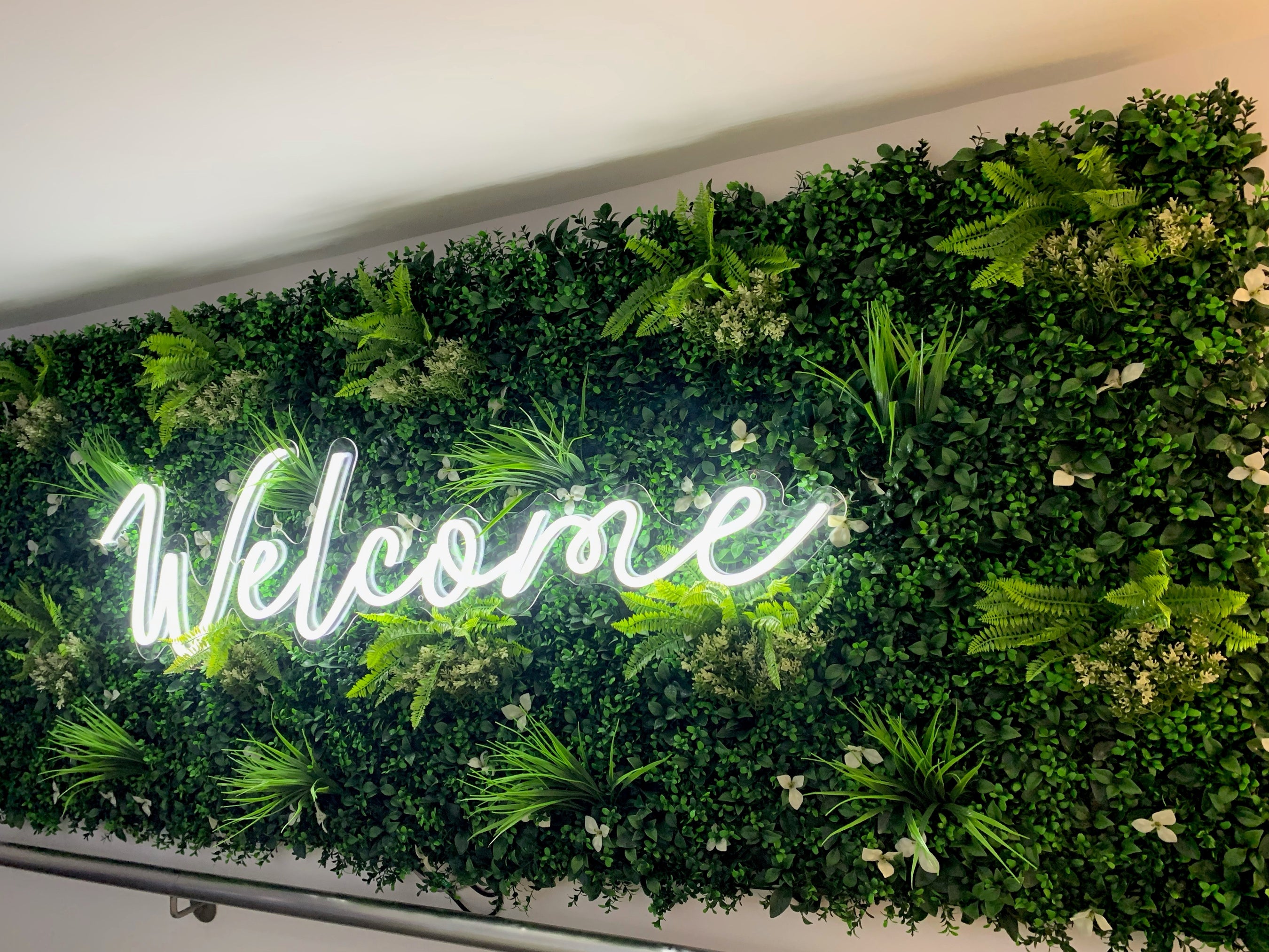 Artificial plants gallery — Select Living Group